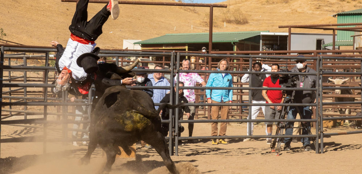 Jackass Forever: Release date, trailer and where to watch it