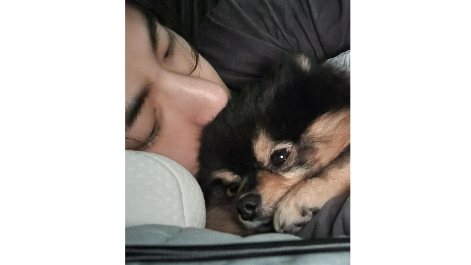 BTS' V Announces the Passing of His Beloved Dog Yeontan